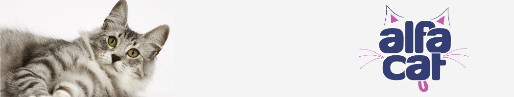 Alfa Cat